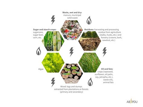 Sources Of Bio Based Feedstock Abpdu