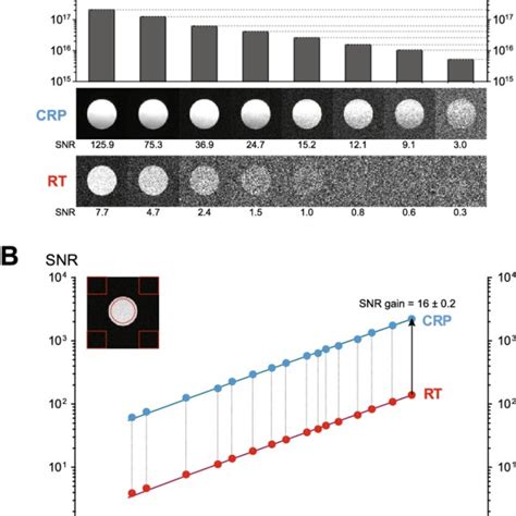 A Flow Chart For The Transcriptomics Study Of Mouse Spinal Cord B