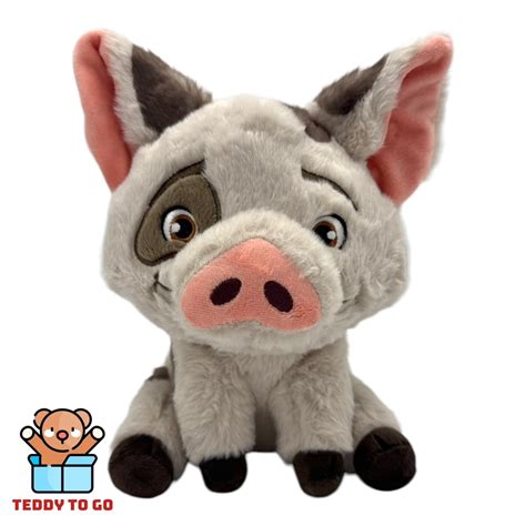 Disney Moana Pua Knuffel 25 Cm Teddy To Go