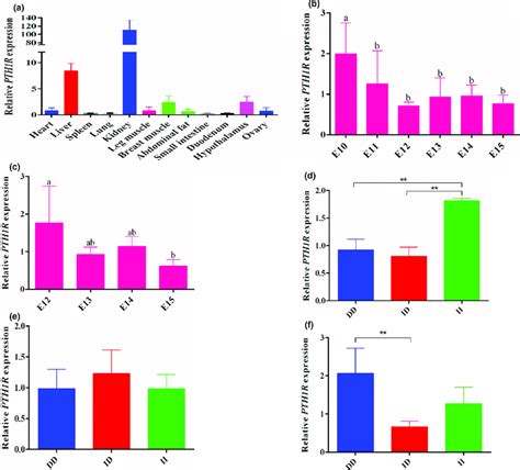 Relative Expression Levels Of The Pth1r Gene A Relative Expression