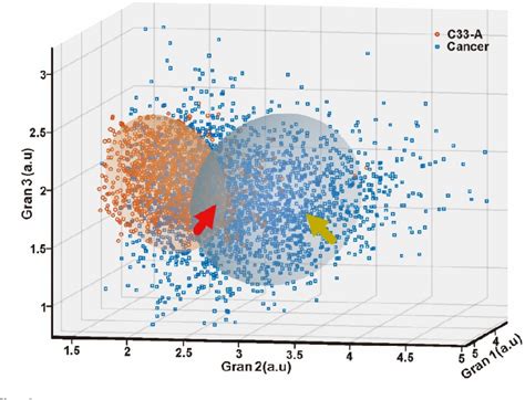 Figure 1 From Siamese Deep Learning Video Flow Cytometry For Automatic And Label Free Clinical