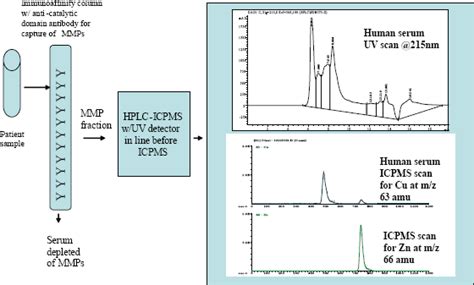Schematic Diagram Of The Hplc Icpms Approach For The Determination Of