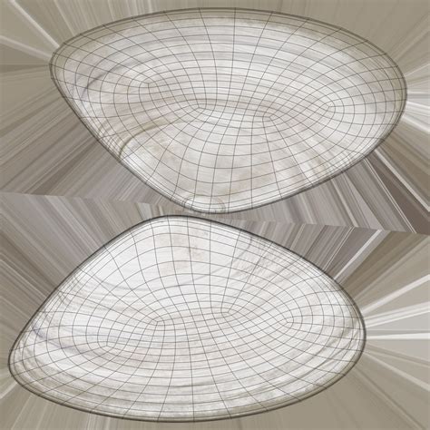 Pipi Shell 3d Turbosquid 1209370