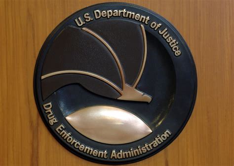 Dea Agents Held Sex Parties Linked To Drug Cartels Report