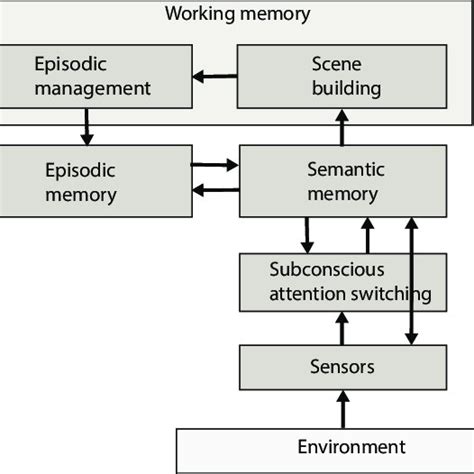 The General Structure Of The Considered Cognitive System Download
