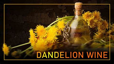 Rediscover Extraordinary Taste How To Make A Dandelion Wine [recipe]