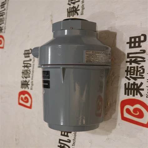 China Wholesales Fireye Flame Detector Distributor Quanzhou Bingde