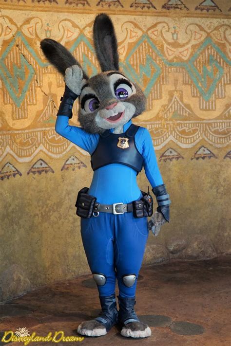 Judy Hopps Judy Hopps Judy Hopps Costume Pokemon Pictures