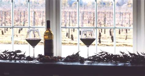 Live Music Lynzi Stringer Duo In Mccordsville At Daniels