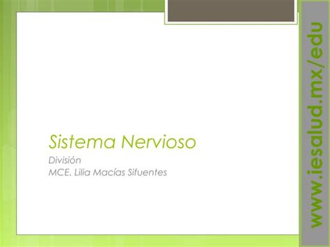 Sistema Nervioso Divisiones Ppt