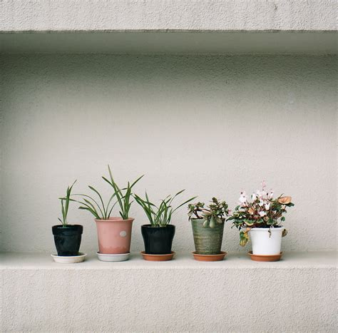 Untitled Flickr