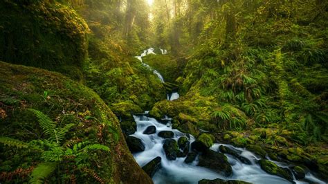 Cachoeira No Parque Nacional Olympic Washington Eua Bing Gallery