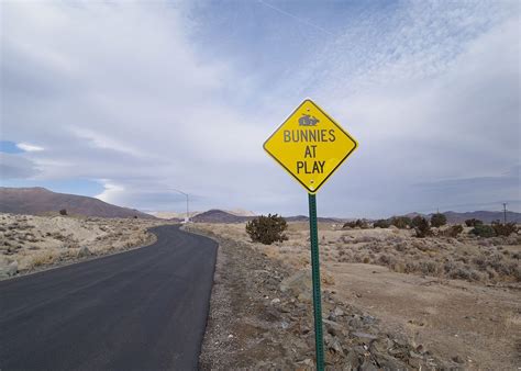 Former Sex Industry Workers Cite 13th Amendment In Lawsuit That Could End Nevadas Legal Sex