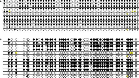 Summary Output Of Methylation Data Publication Type Cpg Dinucleotide