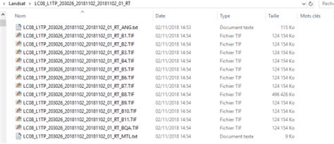 Image Classification Tutorial With Arcmap 2 Data Pre Treatment And