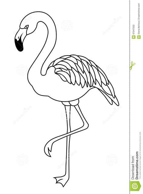 Flamingo Line Drawing At Explore Collection Of