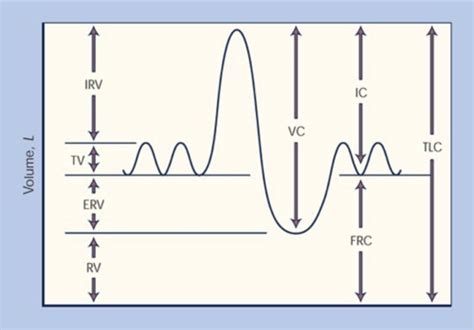 Pulmonary Function Testing Flashcards Quizlet