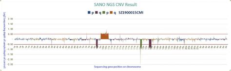 Copy Number Variations Cnv Analysis Based On Next Generation Download Scientific Diagram