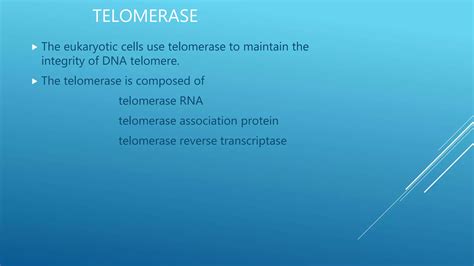 Dna Replication Process Ppt