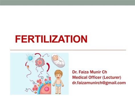 Fertilization Notes Pptx