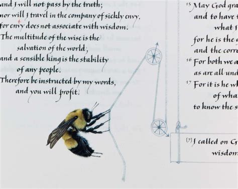 Correction Bumblebee” In Wisdom 7 Artist Chris Tomlin