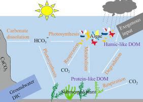 原生来源和生物地球化学过程驱动喀斯特河中 Dom 组成和光学指标的时空变化 Journal Of Hydrology X Mol