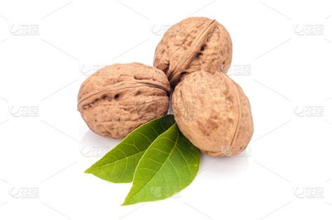 胡桃叶子褐色水平画幅水果无人有机食品摩尔多瓦共和国小吃工作室