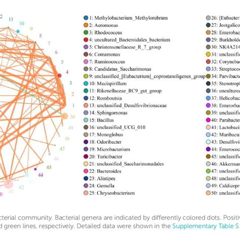 Linear Discriminant Analysis Effect Size Lefse Integrated With Linear Download Scientific