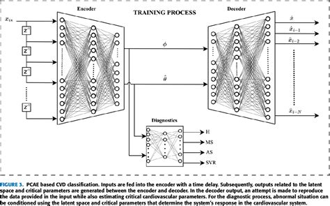 Figure 1 From Modeling Transient Cardiovascular Hemodynamics With