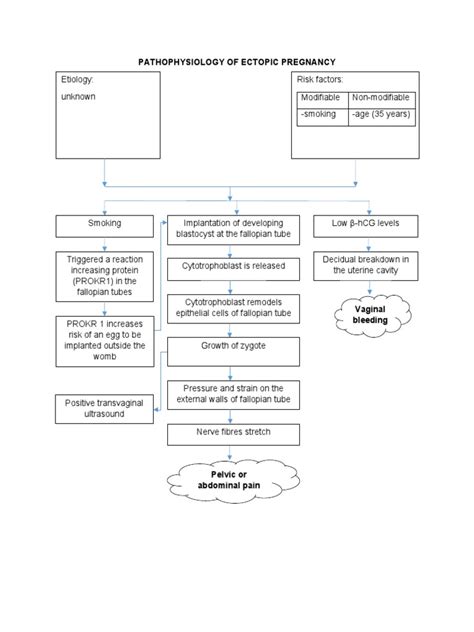 Pathophysiology Of Ectopic Pregnancy Pdf