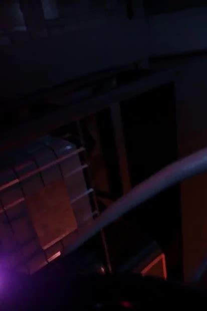 Kostenlose Furry Sex Porno Videos Von Xhamster