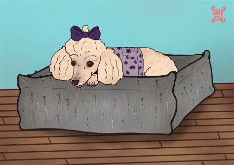 Of Ginger — Weasyl