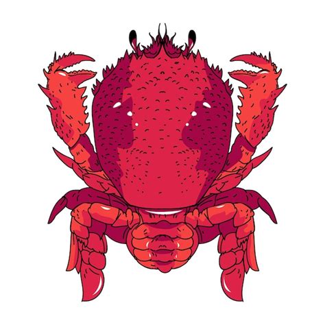 Premium Vector Colorful Crab Vector