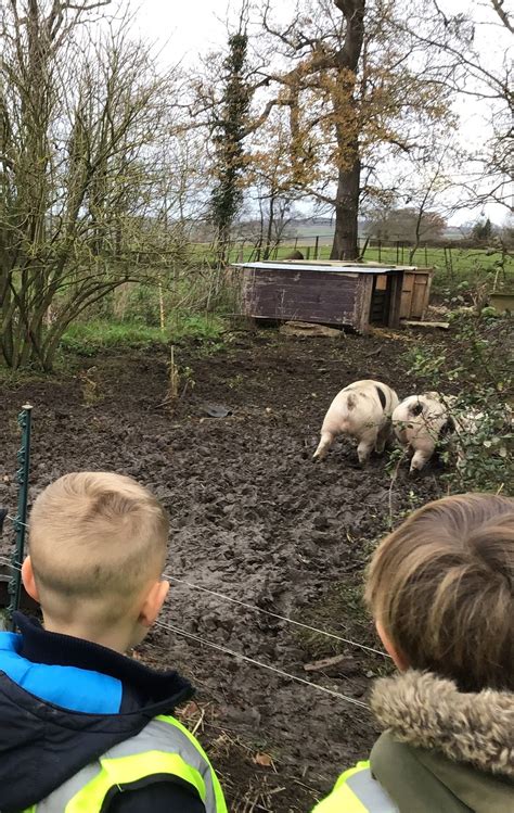 Hambridge Primary School Langport