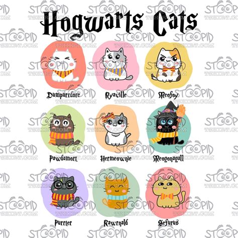 Harry Potter Funny Cats Lolcats Harry Potter Lol At Funny Cat
