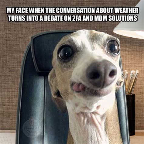 Firewall Art On Linkedin Cybersecurity Meme Memesdaily 2fa Mdm