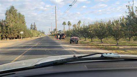 Van Ruler Shellingfarms Escalon Ca