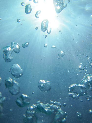 Life Motivational Kaleb Solomon