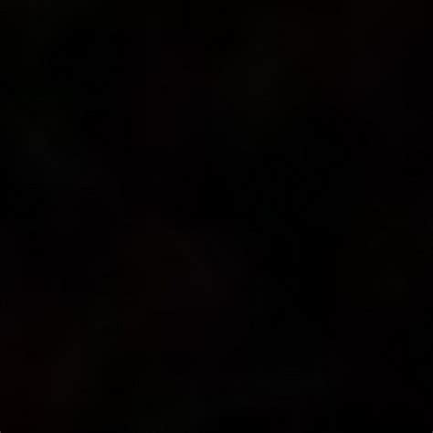 Ant Youtube