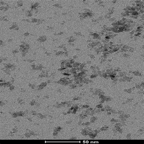 hr tem of tio2 nano particles download scientific diagram