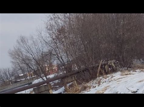 Утки, Кострома, р. Белилка - YouTube