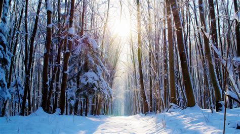 Snow 4k Wallpapers Top Free Snow 4k Backgrounds Wallpaperaccess