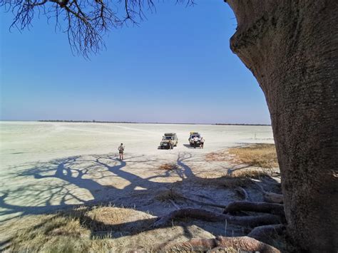 Kalahari Desert Safari Archives Sunlander