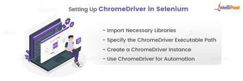 chromedriver in selenium what is it setup process error fix