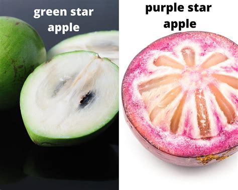 White Star Apple Fruit