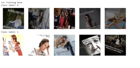 Github Abhi6903hateful Meme Classification