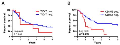 Kaplan Meier Survival Analysis Stratified For Tigit And Cd155 Download Scientific Diagram