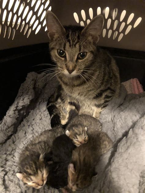 I Made Dese R Eyebleach