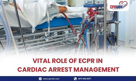 Aha Cpr Bls Acls And Pals Certification Courses In Arizona