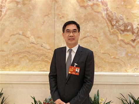 全国政协委员石文先：设立孵化基金，提振民营经济信心 极目新闻